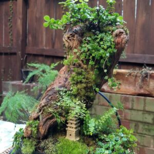 18 Tree Stump Garden Decor Ideas: Adding Charm and Whimsy to Your ...